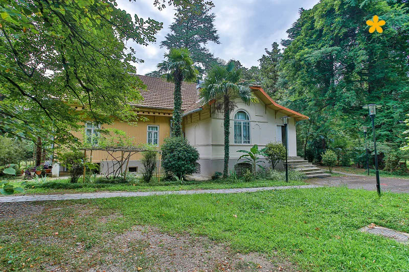 Niko Nikoladze House-museum